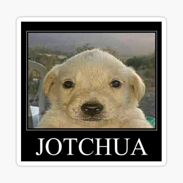 Jotchua Merch & Gifts for Sale | Redbubble
