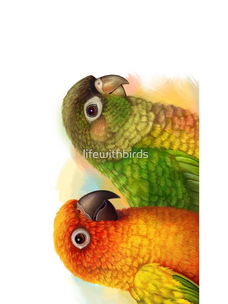"Sun blue-crowned green-cheeked conures realistic painting" iPhone Case ...