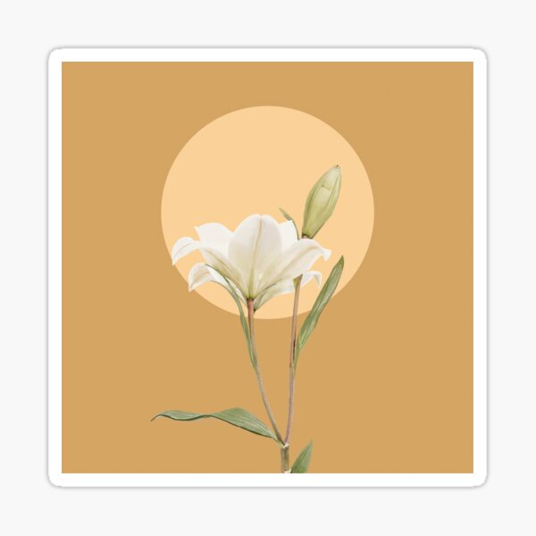 "White Lily" Sticker by Elipsisdraw | Redbubble