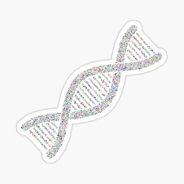 "dna chromosome gene" Sticker for Sale by sciencefacts | Redbubble