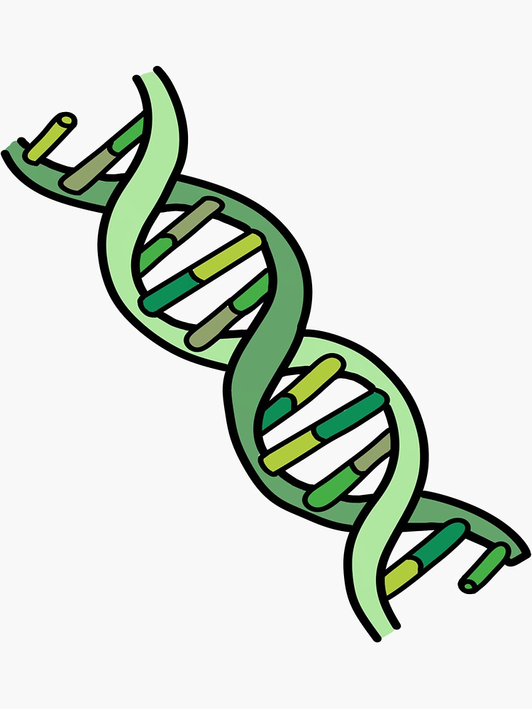 "Green DNA Double Helix" Sticker by Anastasia-4-art | Redbubble