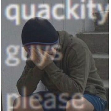 "quackity meme" Sticker for Sale by marthaeast | Redbubble