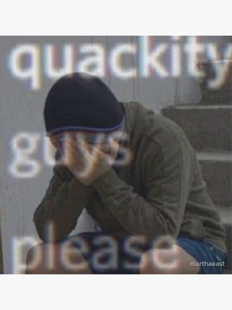 "quackity meme" Sticker for Sale by marthaeast | Redbubble