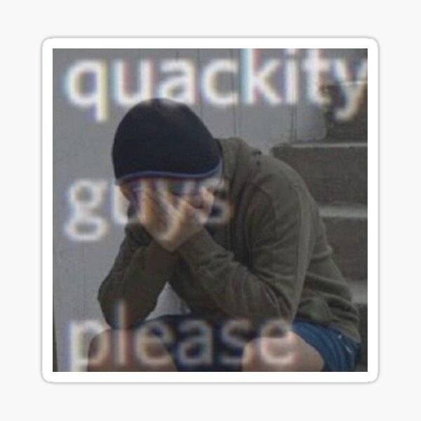 "quackity meme" Sticker for Sale by marthaeast | Redbubble