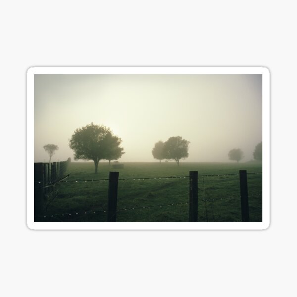 "Misty Morning" Sticker by Bruiserstang | Redbubble