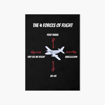"4 Forces of Flight - Funny Pilot" Art Board Print by Sky-Nerd | Redbubble