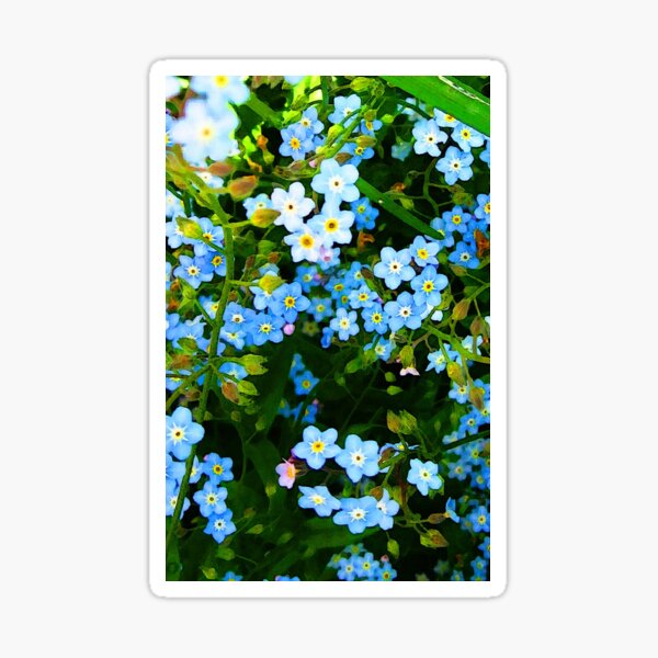 "Forget - Me - Not " Sticker by GretaM | Redbubble
