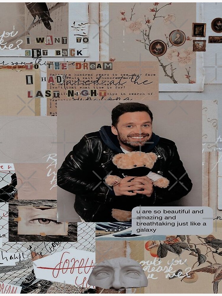 "Fangirl Sebastian Stan Collage" Poster by LorenaGestinger | Redbubble
