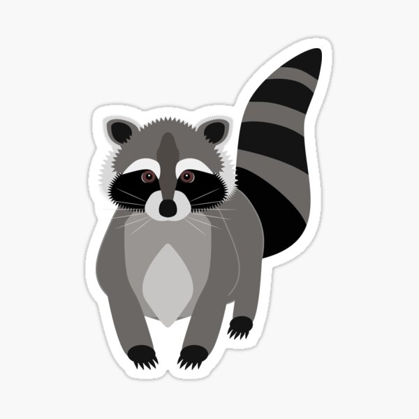 "Raccoon Rascal Green Animal Lover" Sticker by AntiqueImages | Redbubble