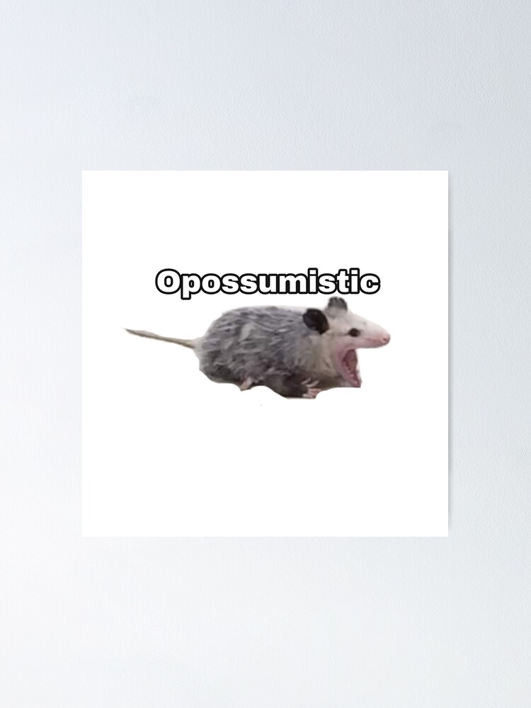 "Possum positive pet meme" Poster by dyslsexyia | Redbubble