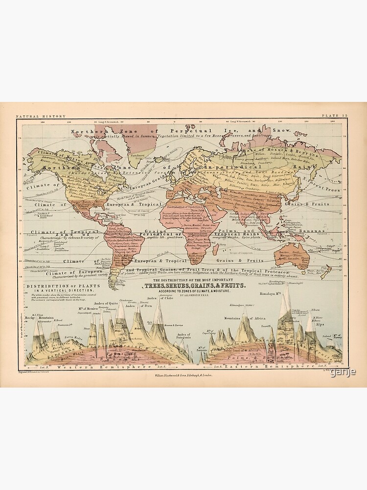 "Map of the World, Distribution of Trees, Shrubs, Grains, Fruits in ...