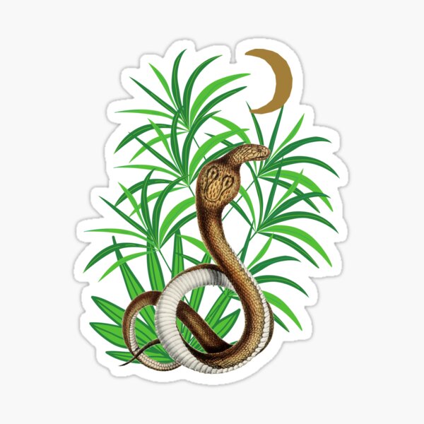 "Snake Spirit Naja" Sticker by OrangePyramid | Redbubble