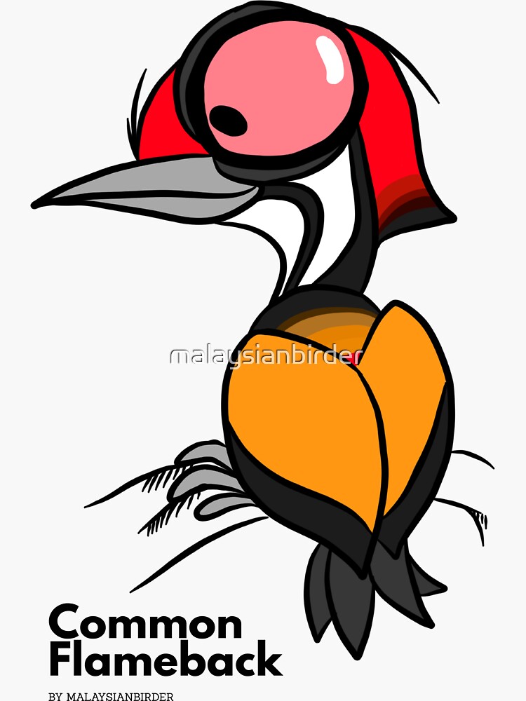 "Common Flameback" Sticker for Sale by malaysianbirder | Redbubble