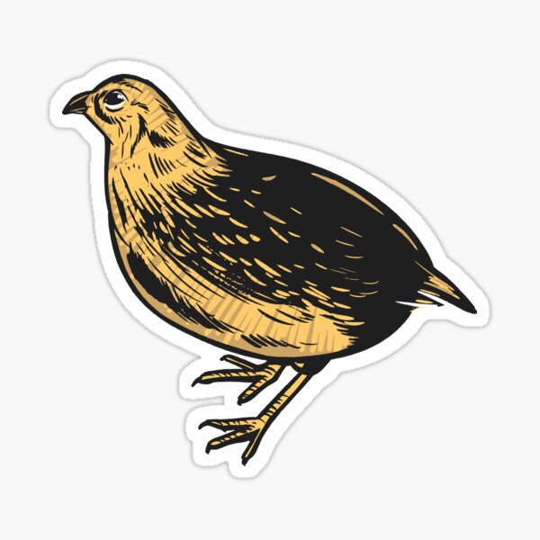"Quail, quail keeper, quail keeping" Sticker by DerSenat | Redbubble