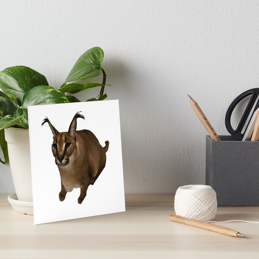 Lámina rígida «Big Floppa» de ouyoussfyassine | Redbubble