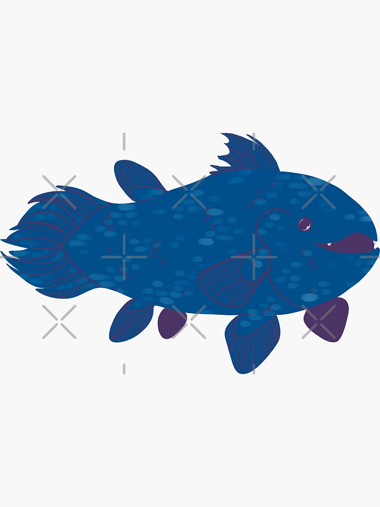 "Coelacanth" Sticker by aquatark | Redbubble