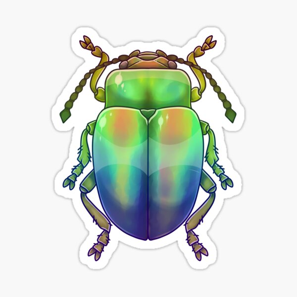 "Gay Pride Beetles " Sticker for Sale by FluffsPuff | Redbubble