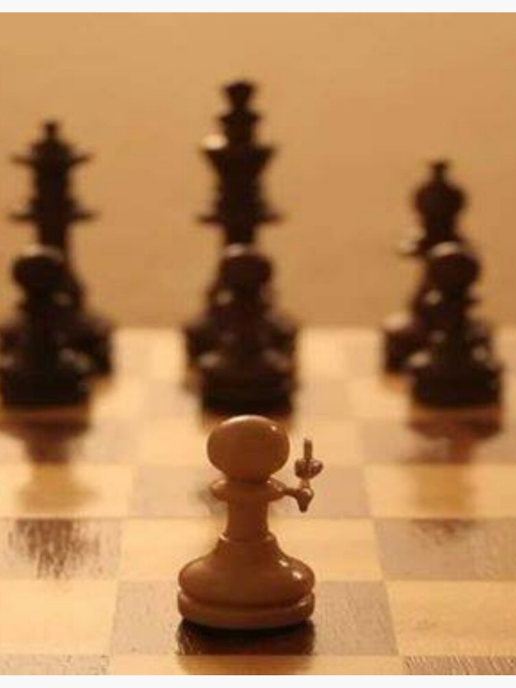 "chass" Sticker for Sale by prokayo | Redbubble