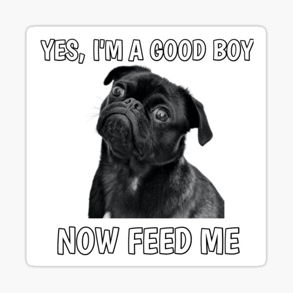 "Good boy" Sticker for Sale by Makeart1 | Redbubble