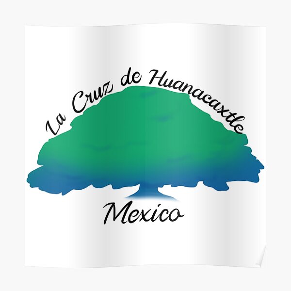 "La Cruz de Huanacaxtle Tree" Poster for Sale by MVnoeta | Redbubble