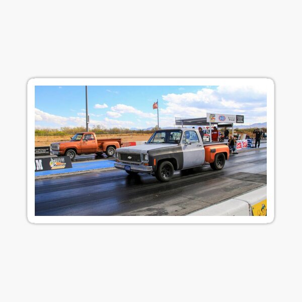 "ROADKILL " Sticker for Sale by TCPrinting | Redbubble