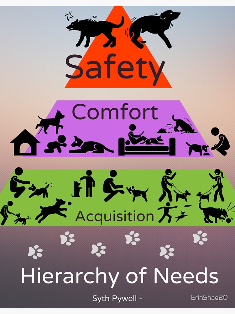 "Hierarchy of needs" Sticker for Sale by ErinShae20 | Redbubble