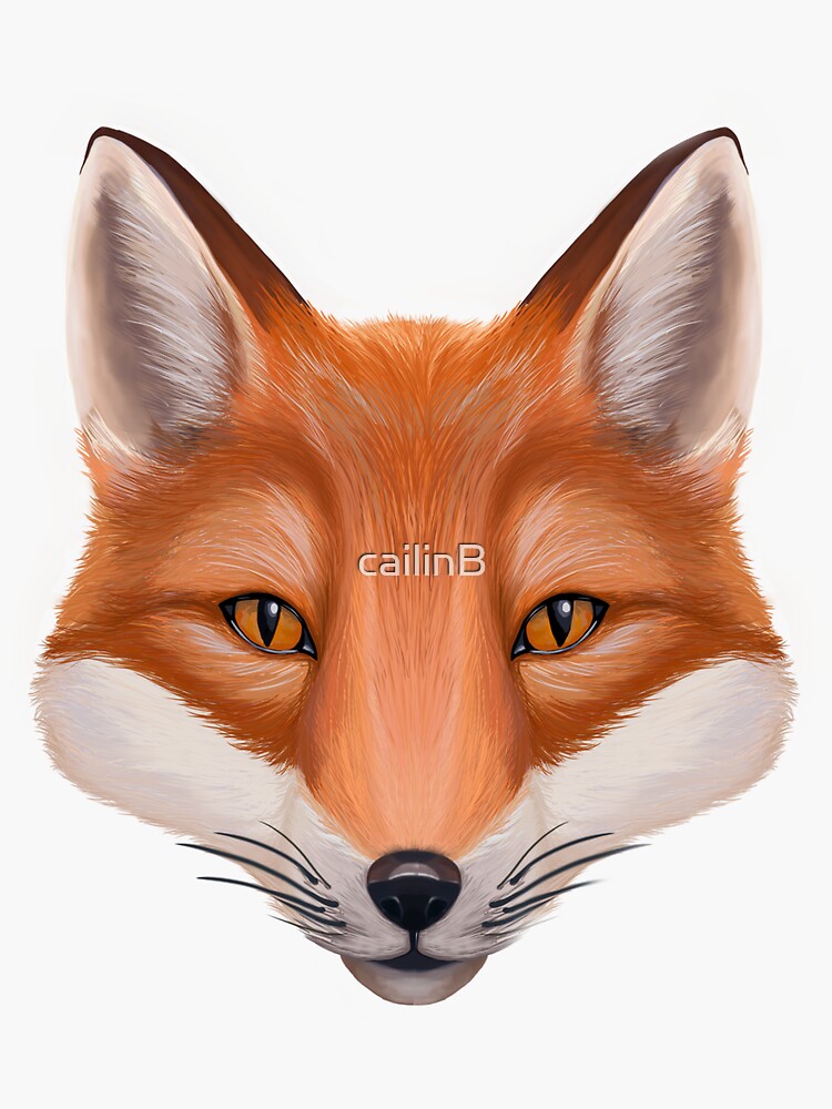 "Fox Face" Sticker for Sale by cailinB | Redbubble