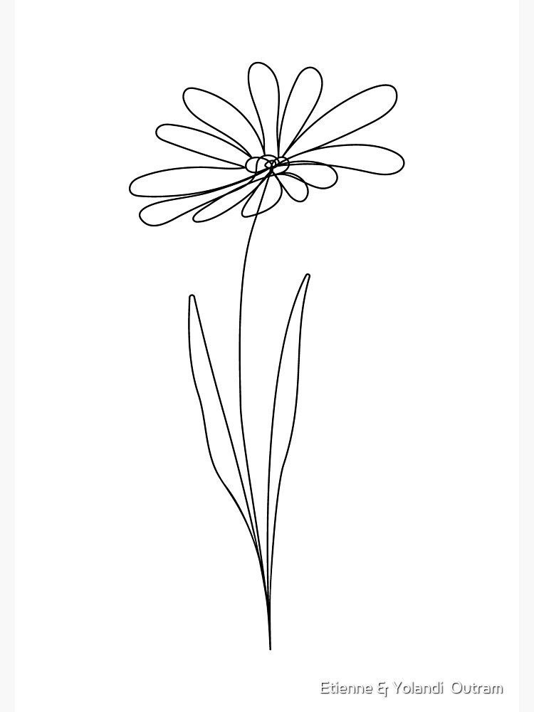 "Birthflower, September, Aster Flower, one line, contour, drawing ...