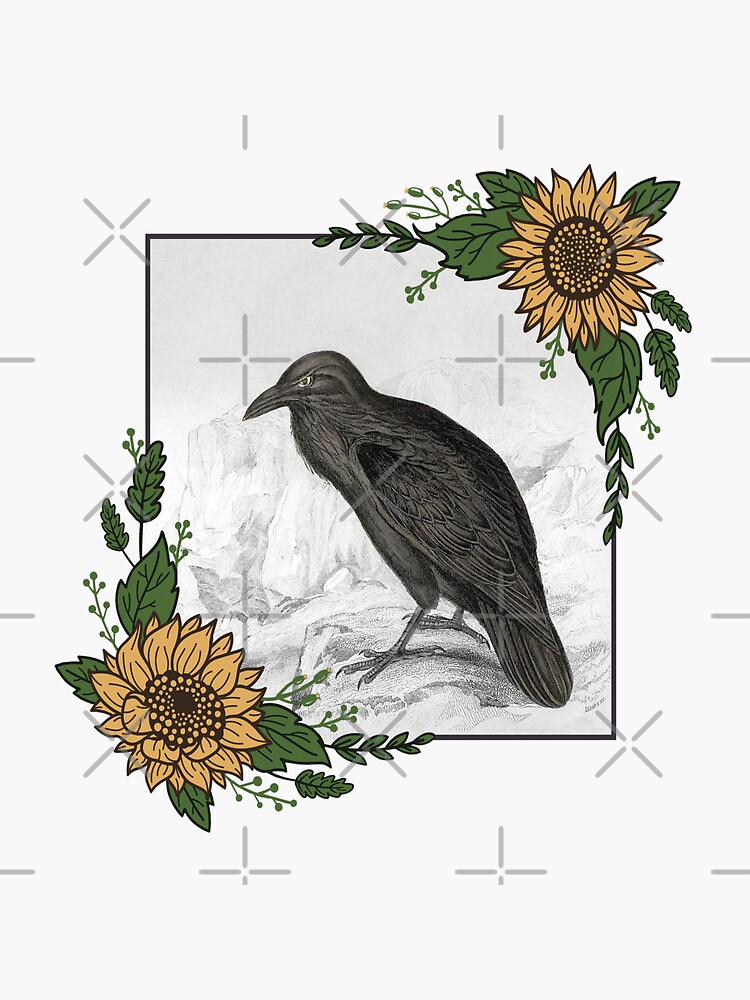 "Raven Surrounded by a Beautiful Sunflower Frame" Sticker by ...