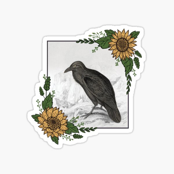 "Raven Surrounded by a Beautiful Sunflower Frame" Sticker by ...
