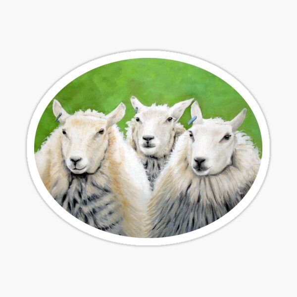 "Three Sheep (green background)" Sticker for Sale by SandraWarmerdam ...