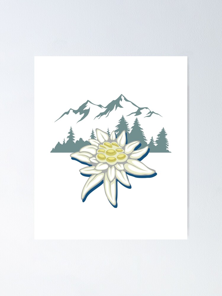 "Edelweiss flower " Poster by Grandtopshop | Redbubble