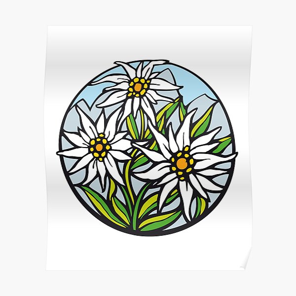 "Edelweiss flower " Poster for Sale by Grandtopshop | Redbubble