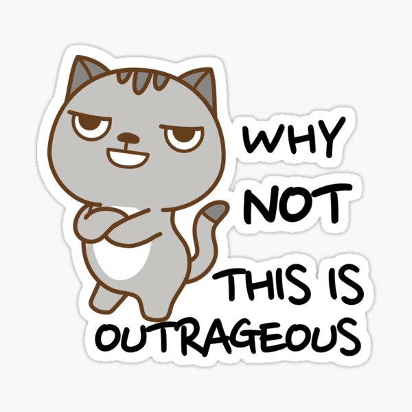 "why not this is outrageous" Sticker by leeseol | Redbubble