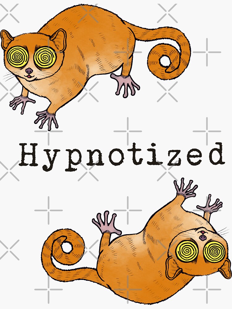 "Hypnotized Mouse Lemurs" Sticker for Sale by Lonelychiwawa | Redbubble