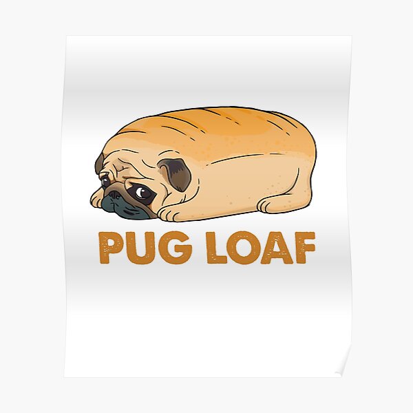 "Pug Loaf, pug toast, funny dog, meme, pug dog" Poster for Sale by ...