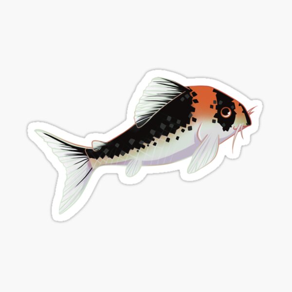 "Panda Cory " Sticker for Sale by MumbleBees | Redbubble