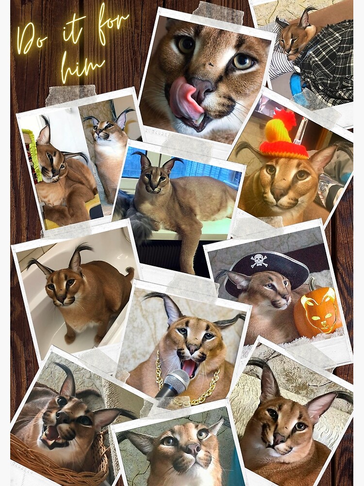 "Big Floppa Caracal Motivational Collage Poster" Framed Art Print by ...