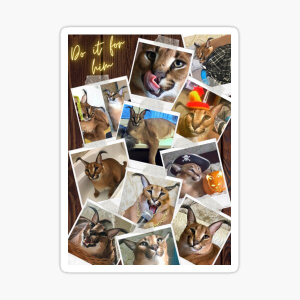 "Big Floppa Caracal Motivational Collage Poster" Sticker for Sale by ...