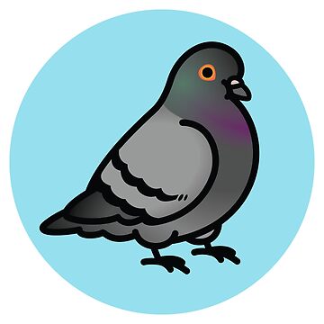 "Chubby Pigeon" Sticker for Sale by birdhism | Redbubble