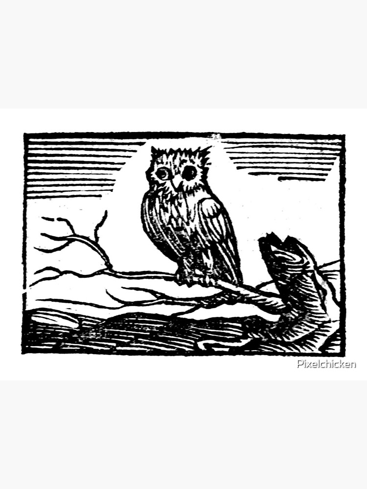 Lámina fotográfica «Búho antiguo grabado en madera Búho de Atenea» de ...