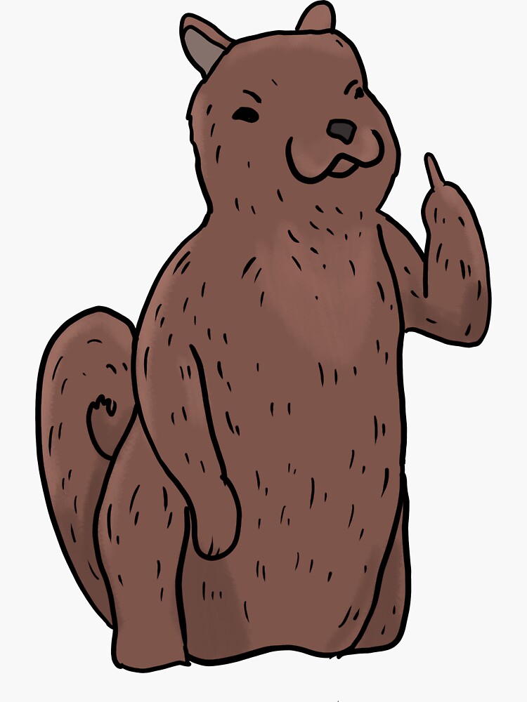 "Grumpy Squirrel Holding Middle finger funny gift" Sticker for Sale by ...