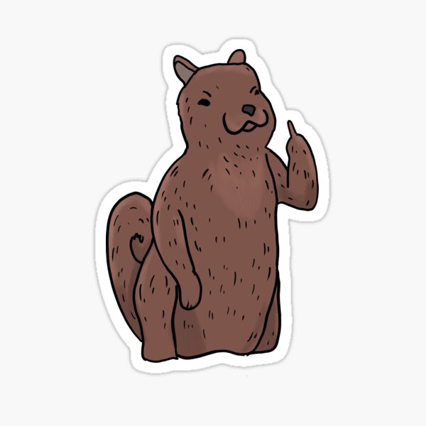 "Grumpy Squirrel Holding Middle finger funny gift" Sticker for Sale by ...