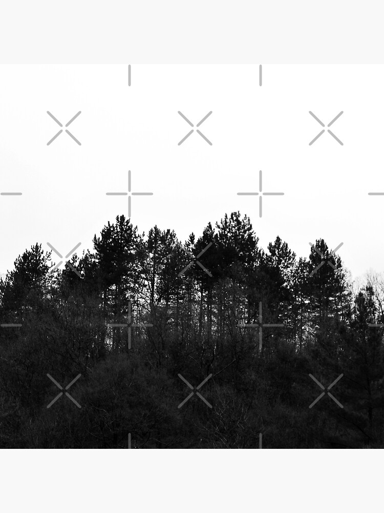 "Black and white modern minimal trees, Landscape woodland forest crest ...