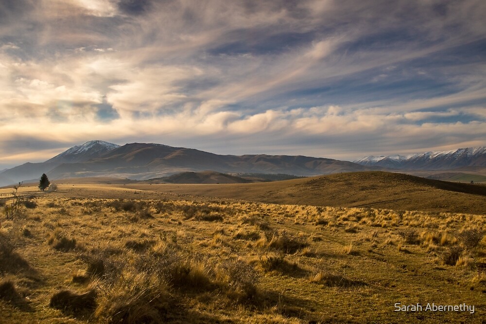 "New Zealand, South Island, St Bathans Range" by Sarah Abernethy ...