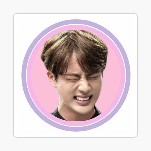 "BTS JIN STICKER" Sticker by starlightchu | Redbubble