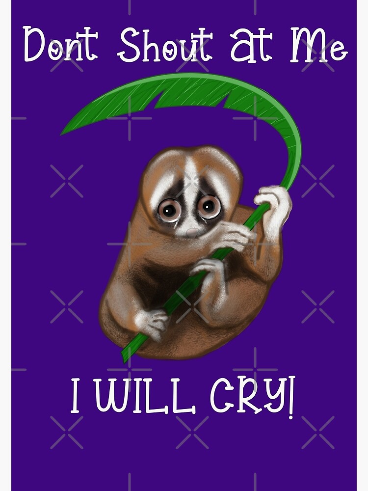 Sloth Meme Whisper Dragon