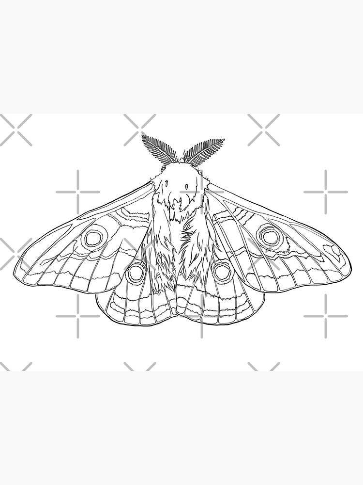 "Common Buckeye Moth Butterfly" Sticker by VernalEquinox | Redbubble
