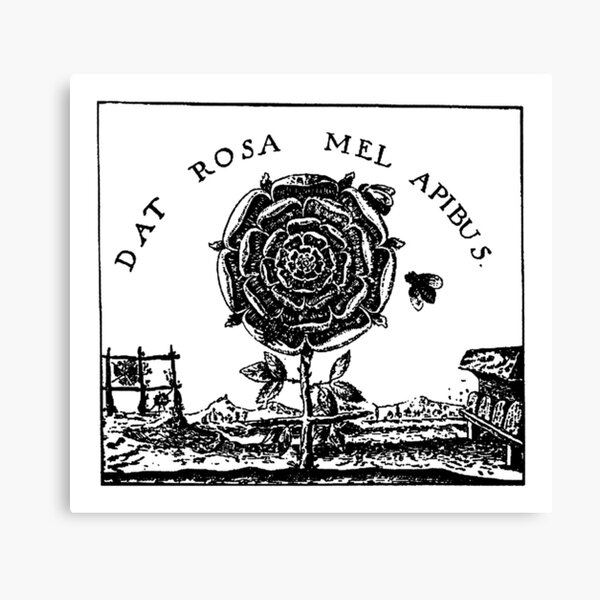 "Esoteric Alchemy Renaissance Rose" Canvas Print by Pixelchicken ...