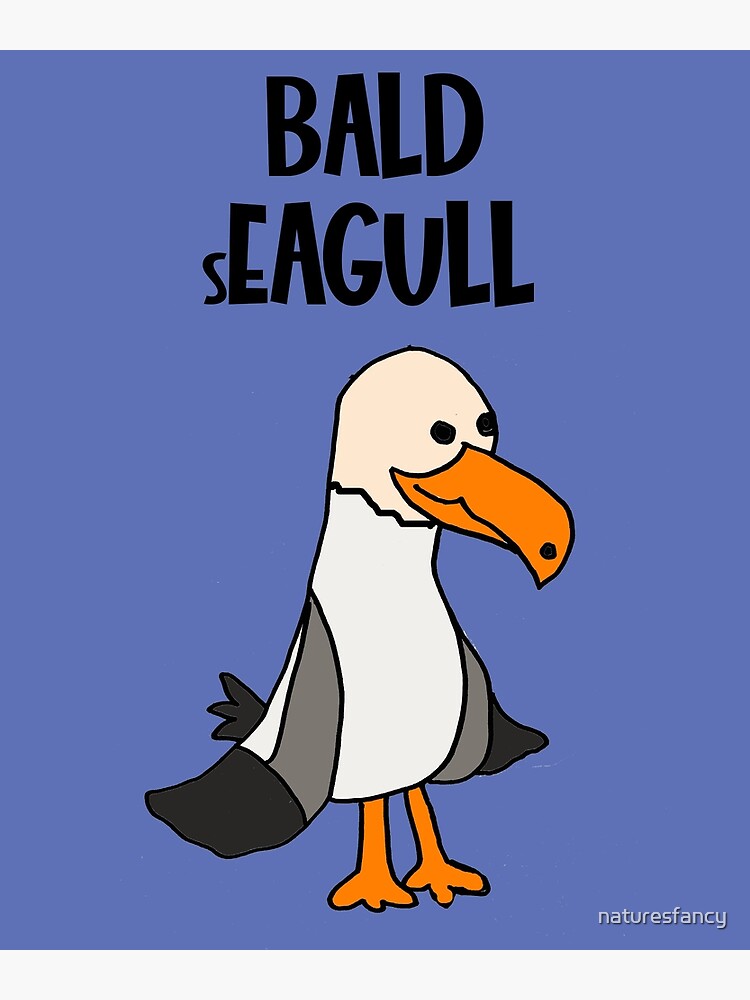 "Funny Bald Seagull Eagle Pun Cartoon" Photographic Print for Sale by ...